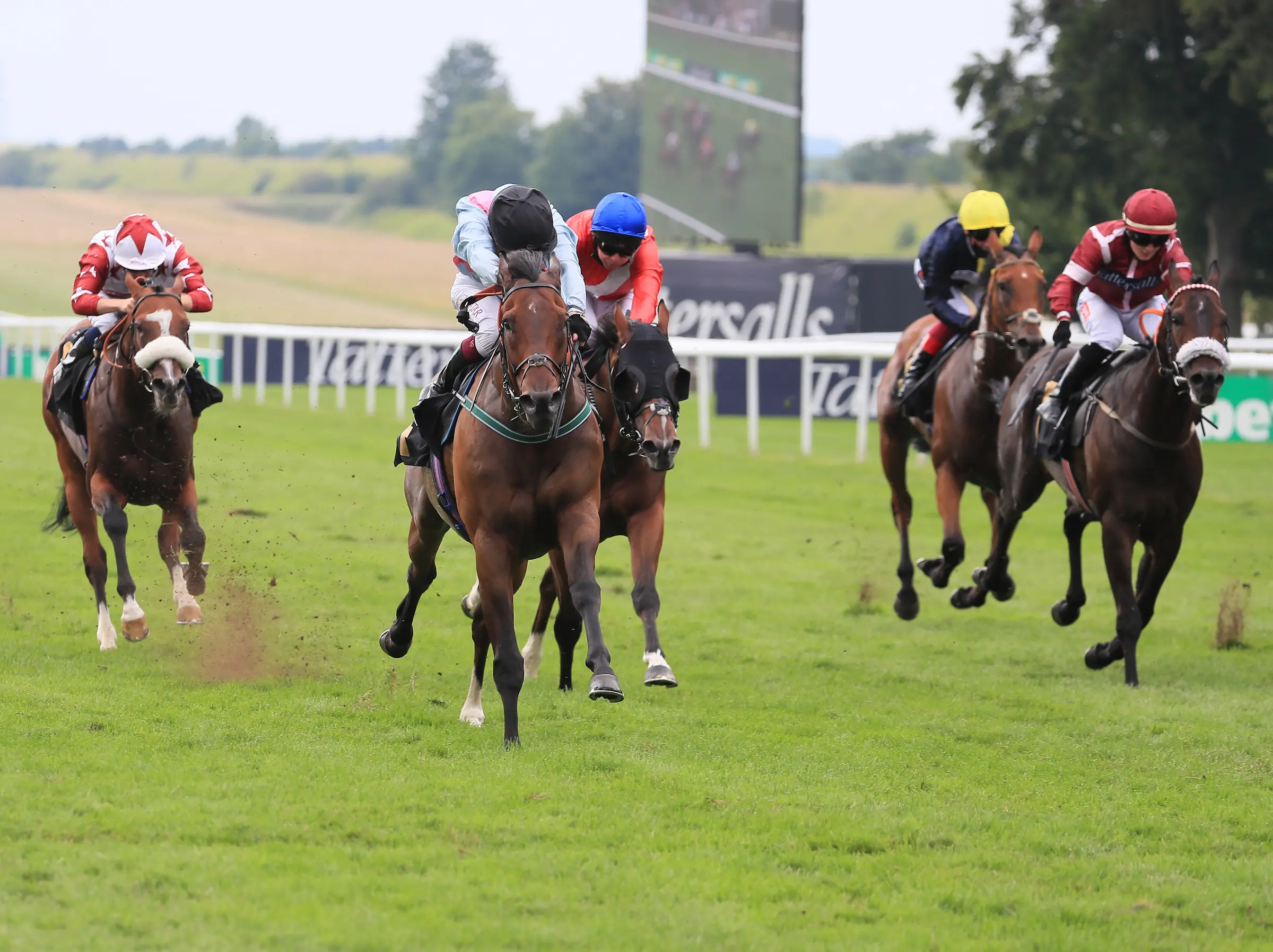 Notes And Angles: Horses to follow, eyecatchers and much more