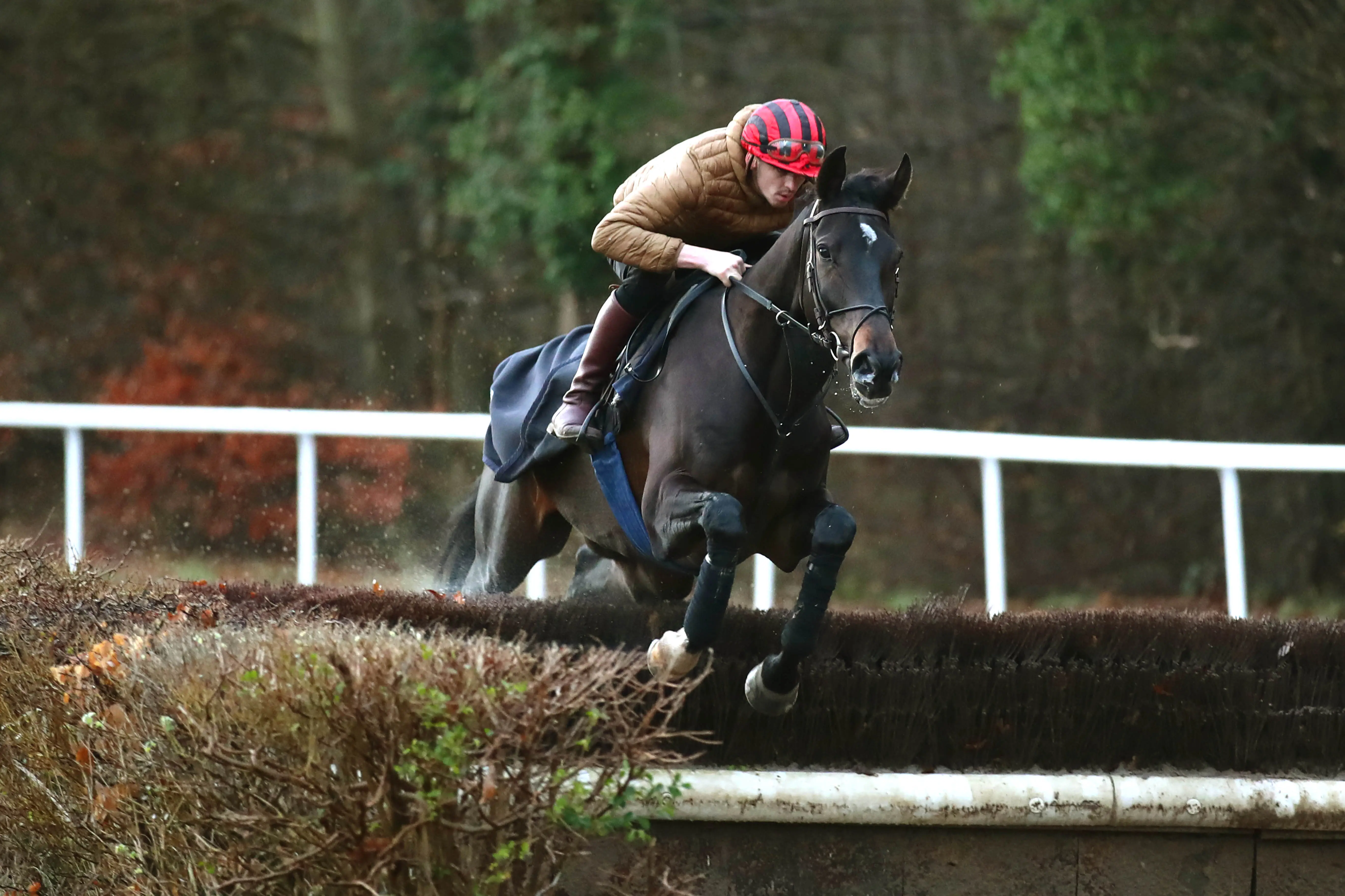 James Reveley has great faith in Il Est Francais