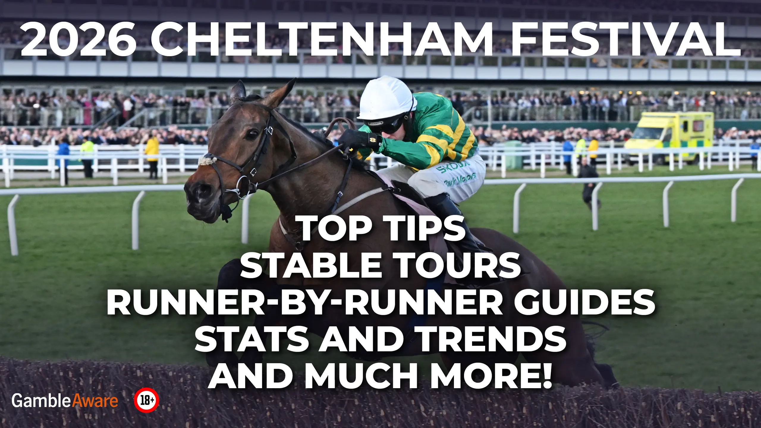 2026 Cheltenham Festival: tips, stable tours, expert views and more