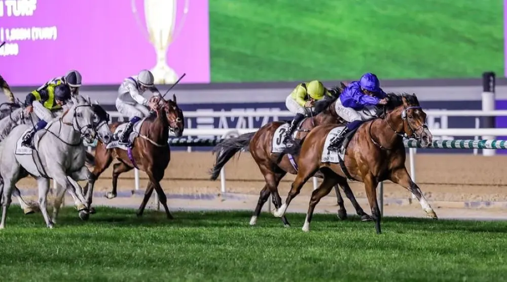 Ombudsman out on his own in Dubai Turf