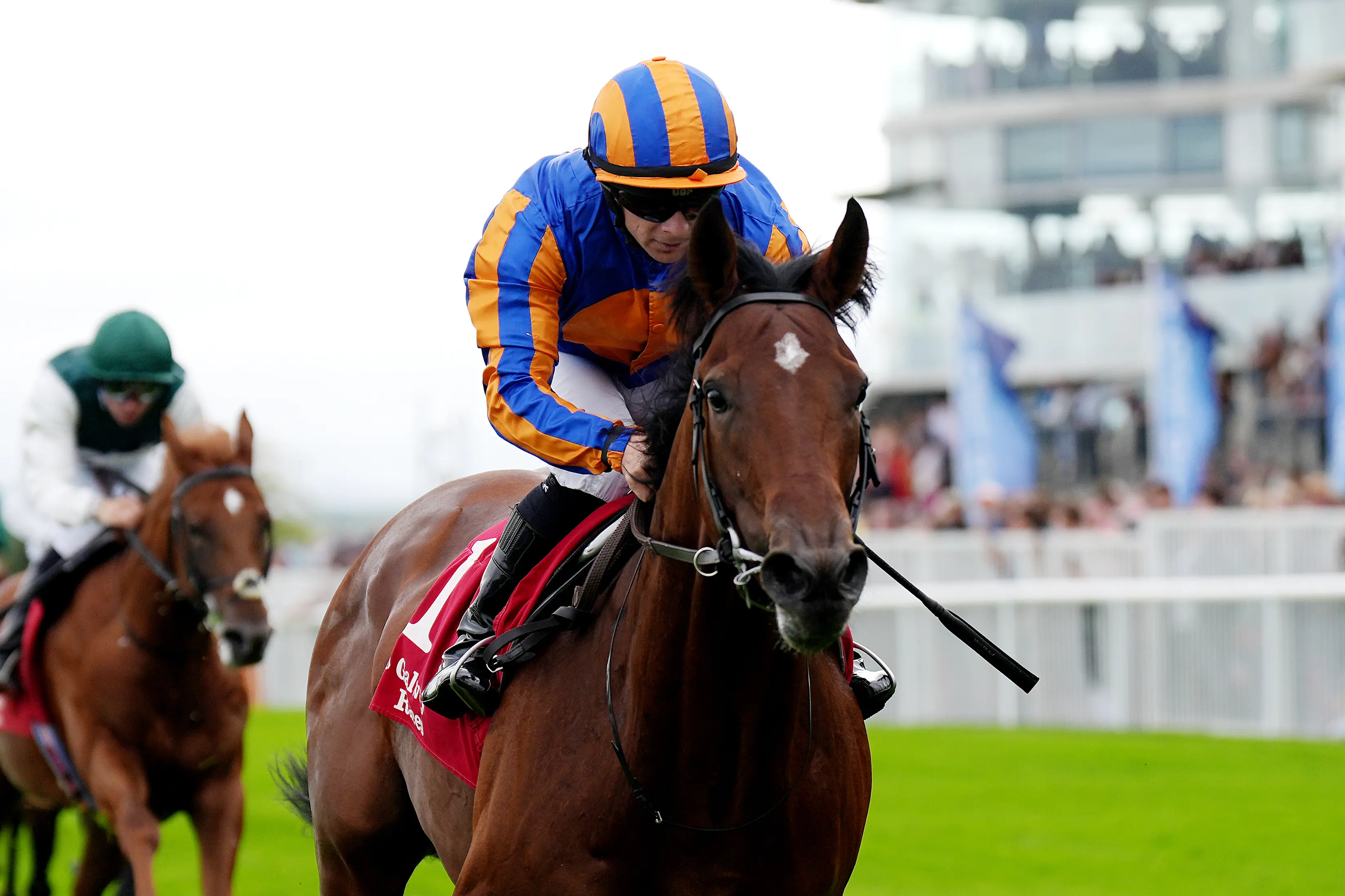 O’Brien: why French Derby is the right race for Constitution River
