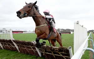 Dave Nevison | Racing TV