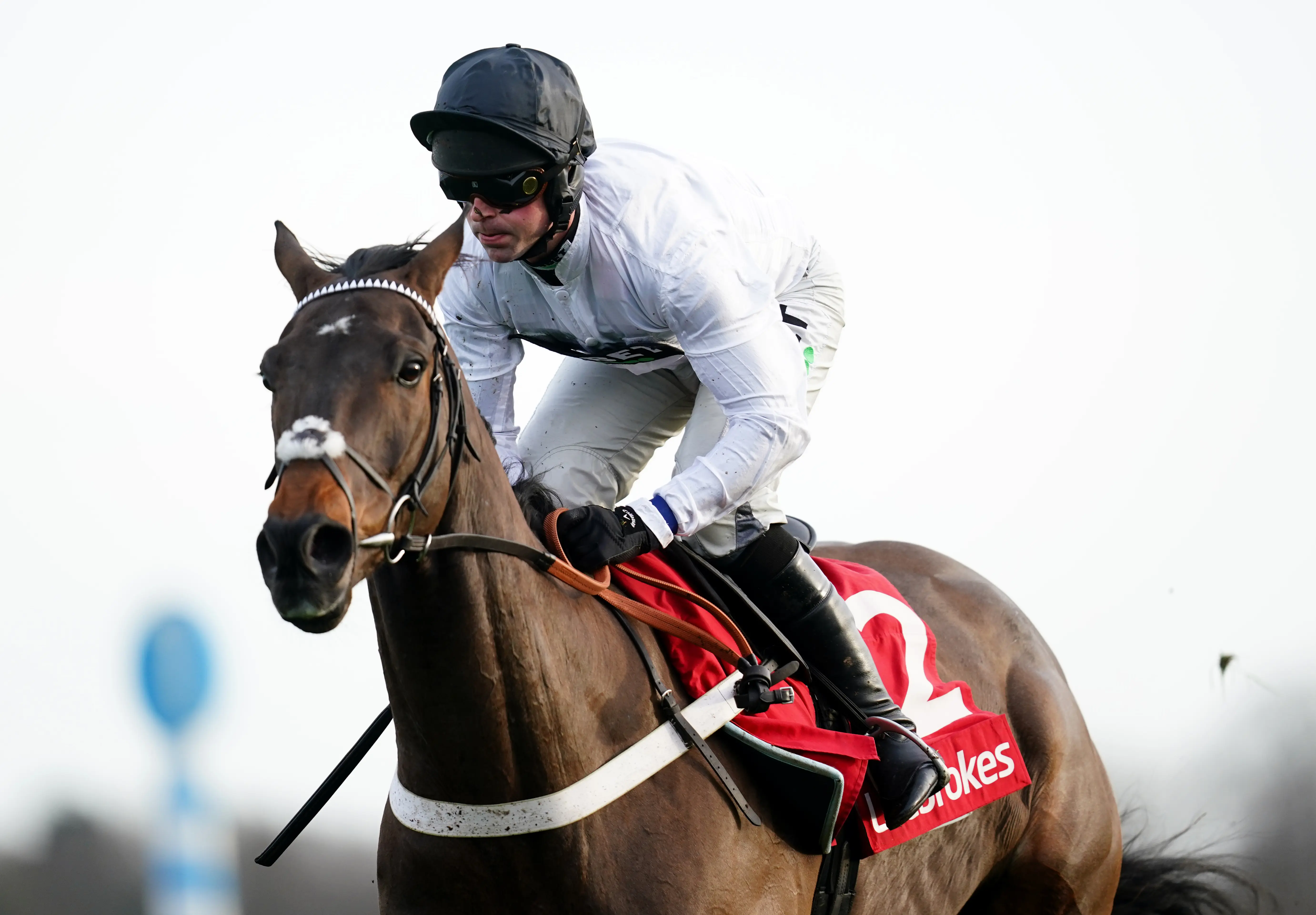Nicky Henderson: why Constitution Hill will run on Festival Trials Day