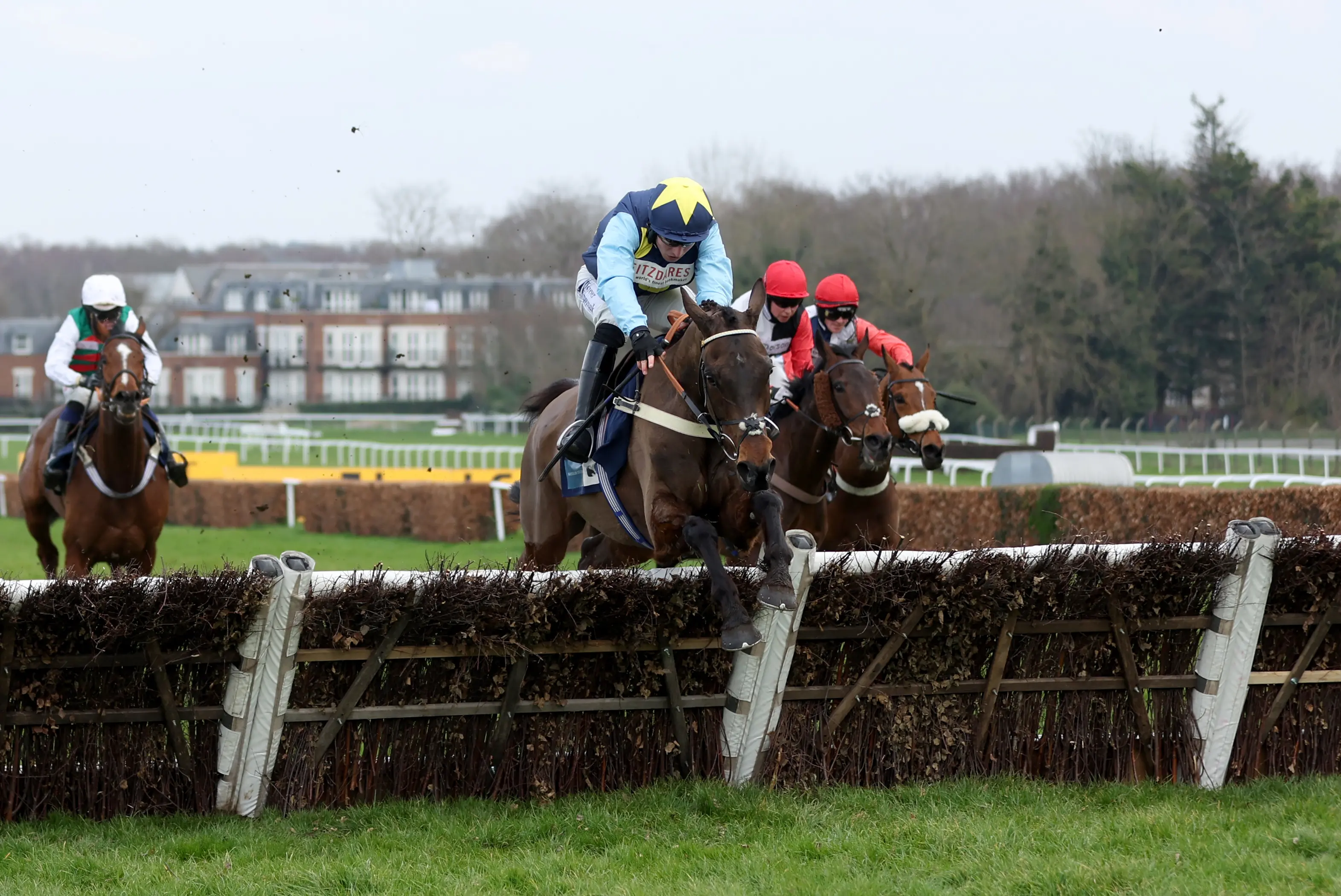 Racing TV's presenters and pundits Jumps horses to follow this season