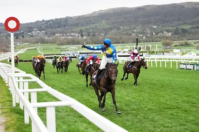 Langer Dan makes history with Coral Cup repeat