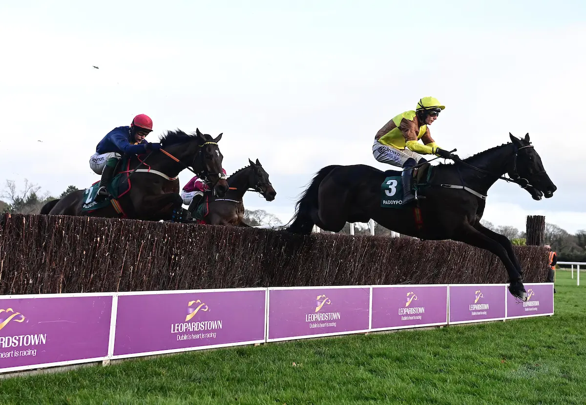 Dublin Racing Festival: star-studded entries revealed