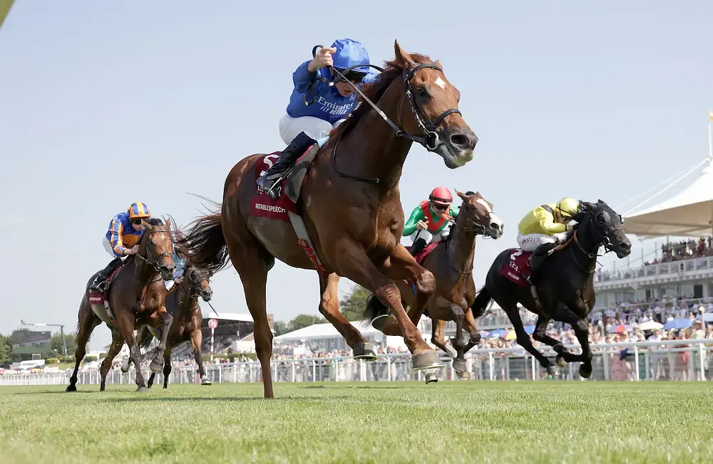 Today's Horse Racing News & Results | Racing TV