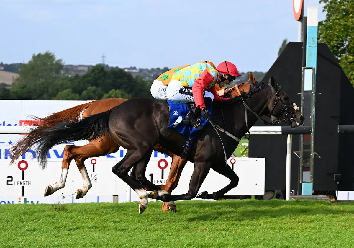 Sky Bet Sunday Series: a tip for every race at Musselburgh