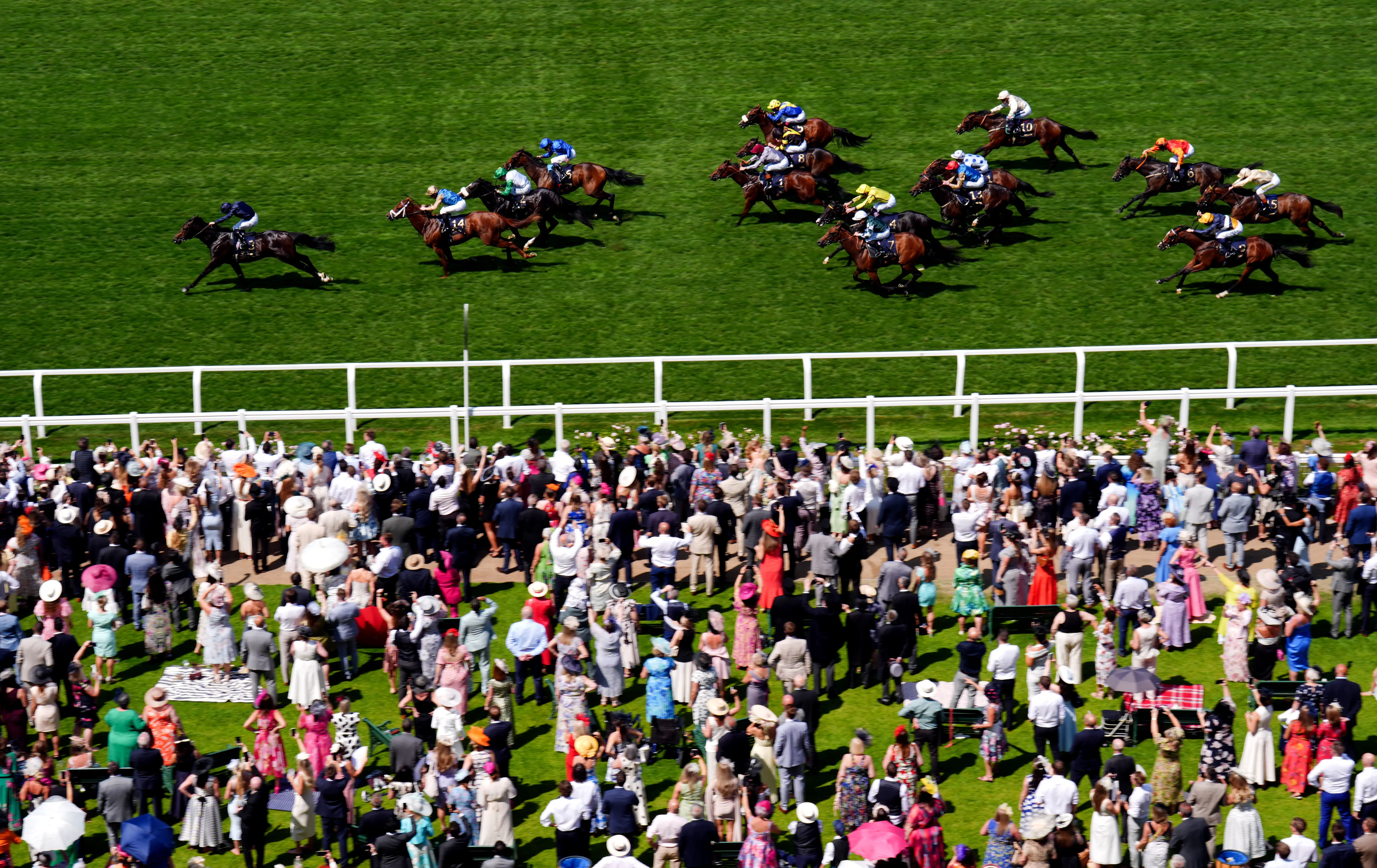 Charles Darwin lives up to his billing in Norfolk Stakes